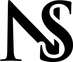 Ns artistic letter logo design with serif font Vector Image