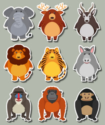 Sticker set with different wild animals Royalty Free Vector