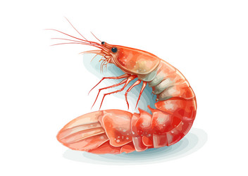 Hand-drawn of a shrimp cocktail Royalty Free Vector Image