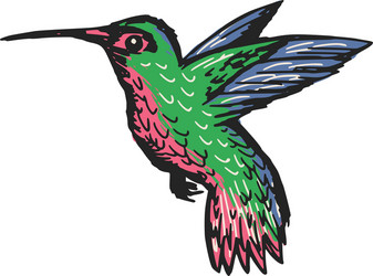 Colibri Vector Images (over 3,400)