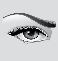 Eyes Vector Images (over 590,000)