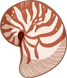 Nautilus shell colorful doodle isolated on white Vector Image