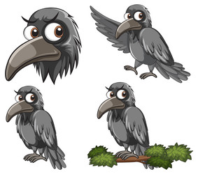Set of angry raven cartoon character Royalty Free Vector