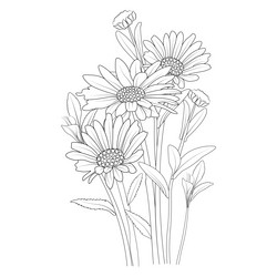Daisy flower branch line art drawing Royalty Free Vector