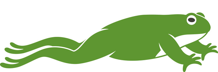 Frog Royalty Free Vector Image - VectorStock