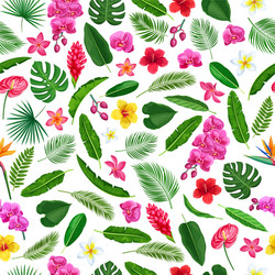 Tropical flowers seamless pattern summer tropic Vector Image