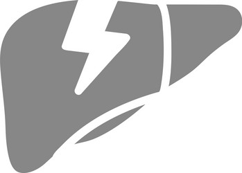 Liver Royalty Free Vector Image - VectorStock