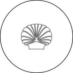Seashell Shell Pecten Vector Images (over 230)