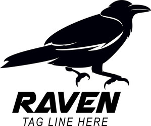 Raven in Flight Logo Symbol Vector Images (over 360)