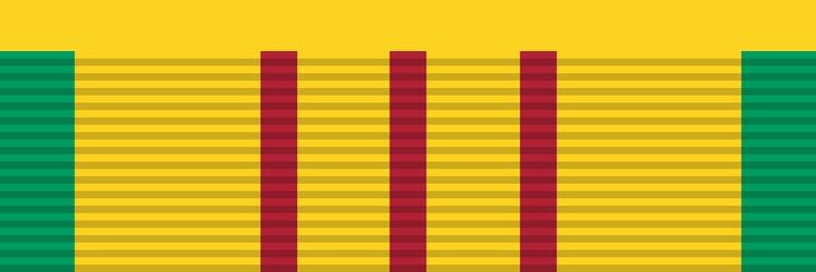 Vietnam campaign ribbon flag with text war Vector Image