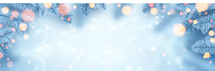 Frozen light blue fir wreath with bokeh lights Vector Image