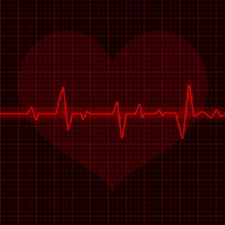 Electrocardiogram red waves with heart symbol Vector Image