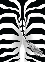 Zebra Back Vector Images (over 100)