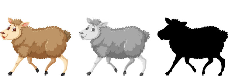 Sheep Walk Vector Images (over 470)