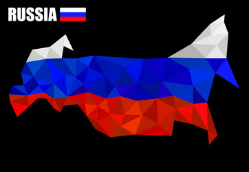 Russia map low polygon style geometric polygonal Vector Image