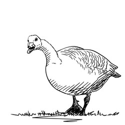 Angry Goose Vector Images (over 380)
