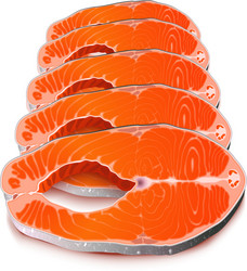 Picture fish Royalty Free Vector Image - VectorStock