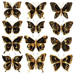 Multicolored Butterflies Set Royalty Free Vector Image