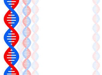 Dna strand pattern seamless deoxyribonucleic acid Vector Image