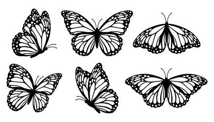 Butterfly Side View Vector Images (over 250)