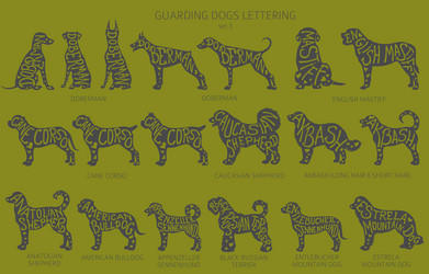Dog breeds silhouettes with lettering simple Vector Image