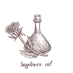 Safflower Oil Vector Images (over 130)