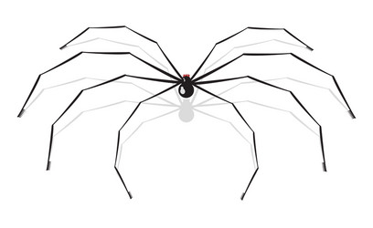 Black widow spider icon outline style Royalty Free Vector
