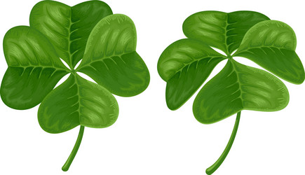 Realistic shamrock wreath element round clover Vector Image
