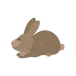 Rabbit Sitting Vector Images (over 5,700)