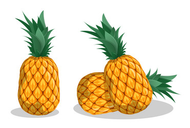 Ananas Vector Images (over 5,600)