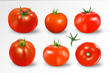 Tomato Vector Images (over 120,000)