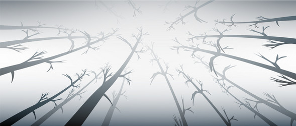 Dark Woods Vector Images (over 16,000)