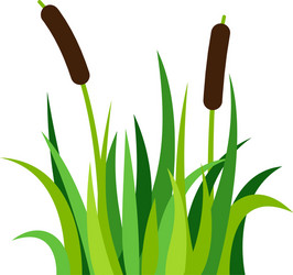Grass Root Vector Images (over 2,800)