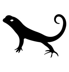 Monitor Lizards Vector Images (over 230)
