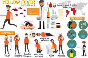 Yellow fever infographic elements symptoms Vector Image