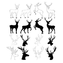 Christmas Male and Female Deer Vector Images (over 110)