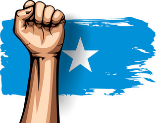 Somali Flag Vector Images (over 660)