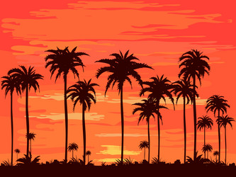 Evening on the beach summer orange sky Royalty Free Vector