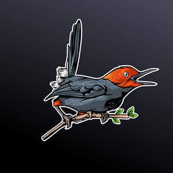 Cute cartoon shrike bird Royalty Free Vector Image