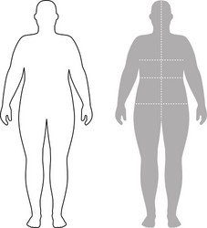 Fat woman figure front back side Royalty Free Vector Image