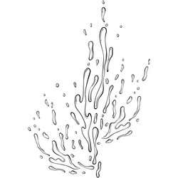 Set of liquid splash line art Royalty Free Vector Image