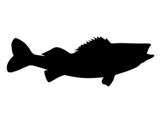 Silhouette of cod fish Royalty Free Vector Image