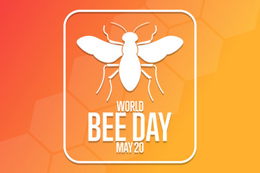 World bee day may 20 holiday concept template Vector Image