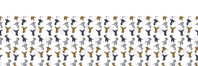 Hummingbird Border Vector Images (over 130)