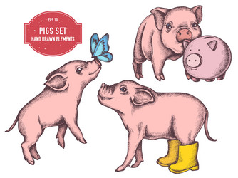 Pig Pigs Mini Vector Images (over 130)