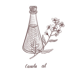 Oilseed Rape Vector Images (over 120)