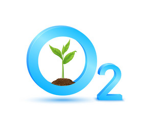 Seedling with green grows from seed in oxygen o2 Vector Image