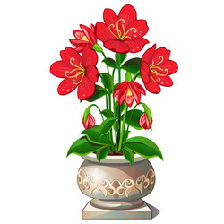 Red Pot Vector Images (over 28,000)