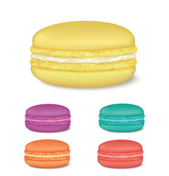 Detailed icon macaroons Royalty Free Vector Image