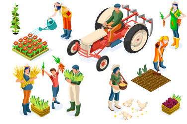 Farm Royalty Free Vector Image - VectorStock